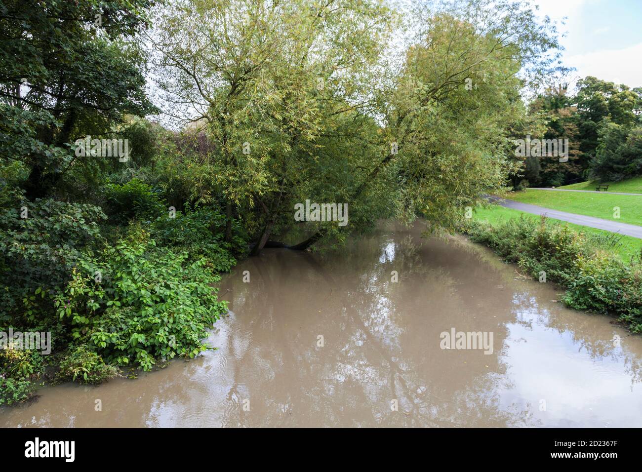 Causes water hi-res stock photography and images - Alamy