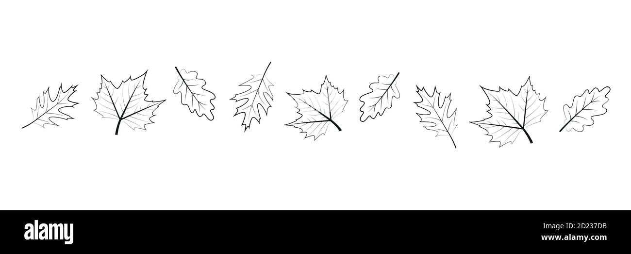 set of autumn leaves outline on white background vector illustration ...