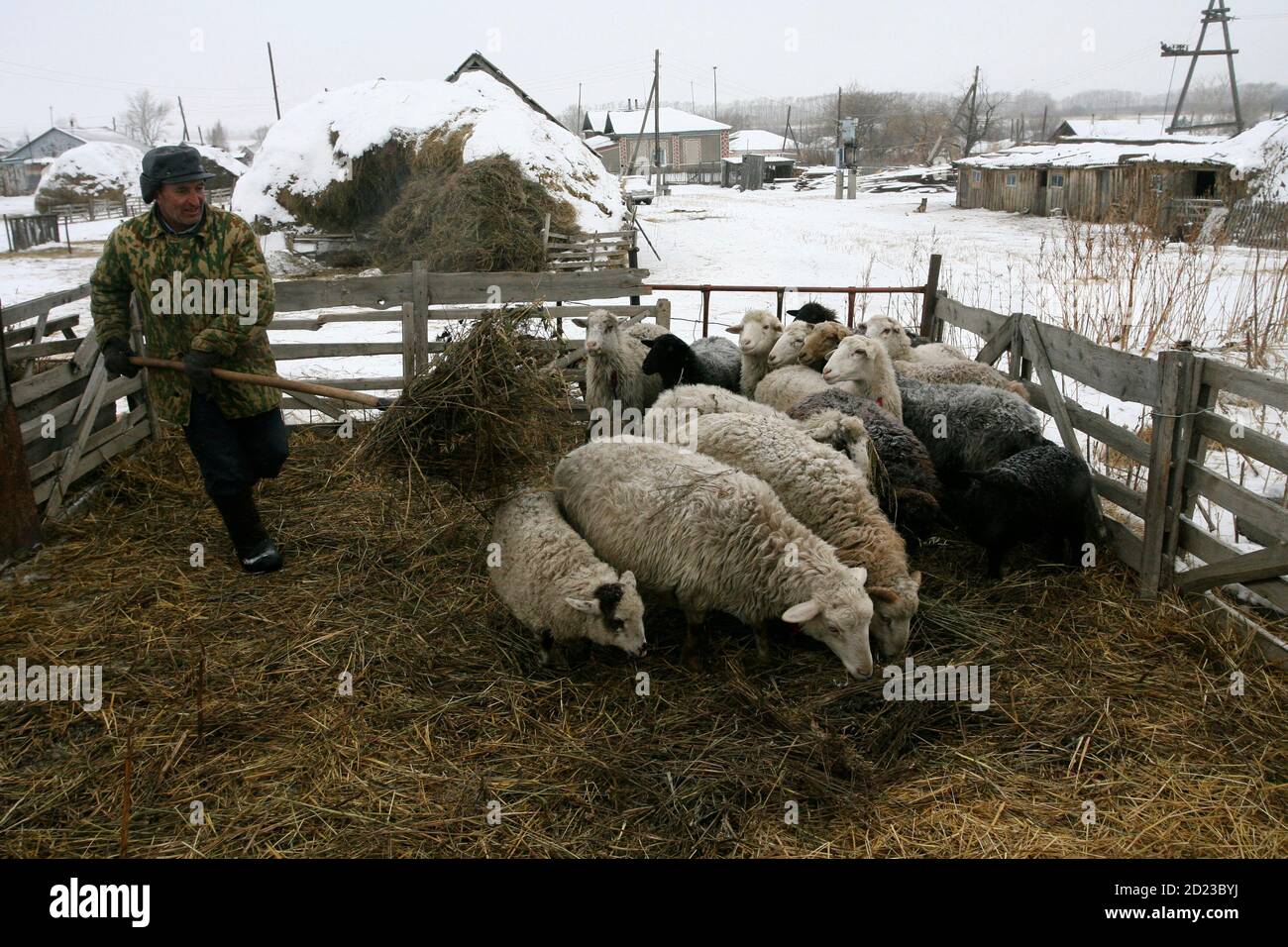 Collective farm russia hi-res stock photography and images - Alamy