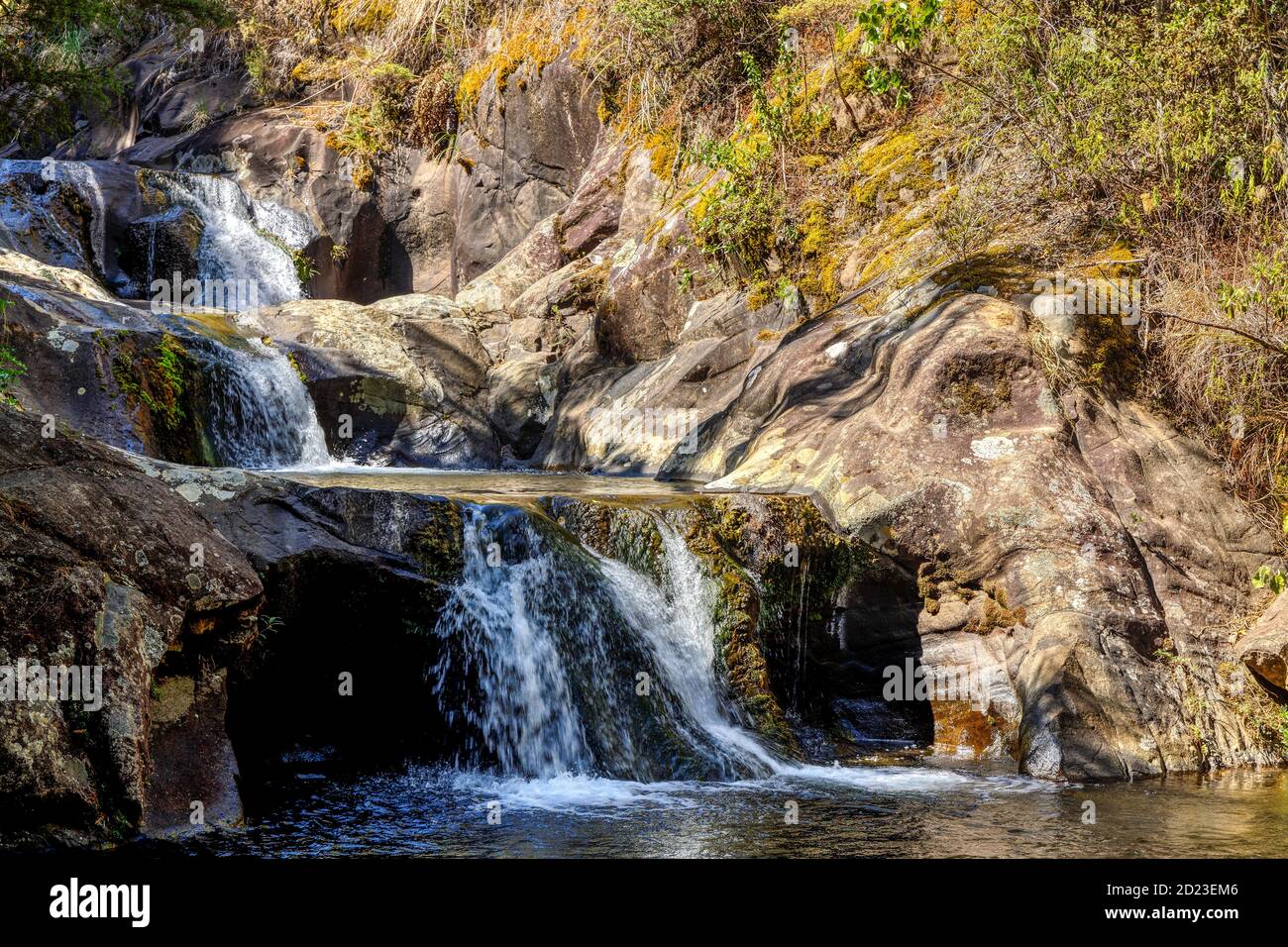 Rapaura watergardens hi-res stock photography and images - Alamy