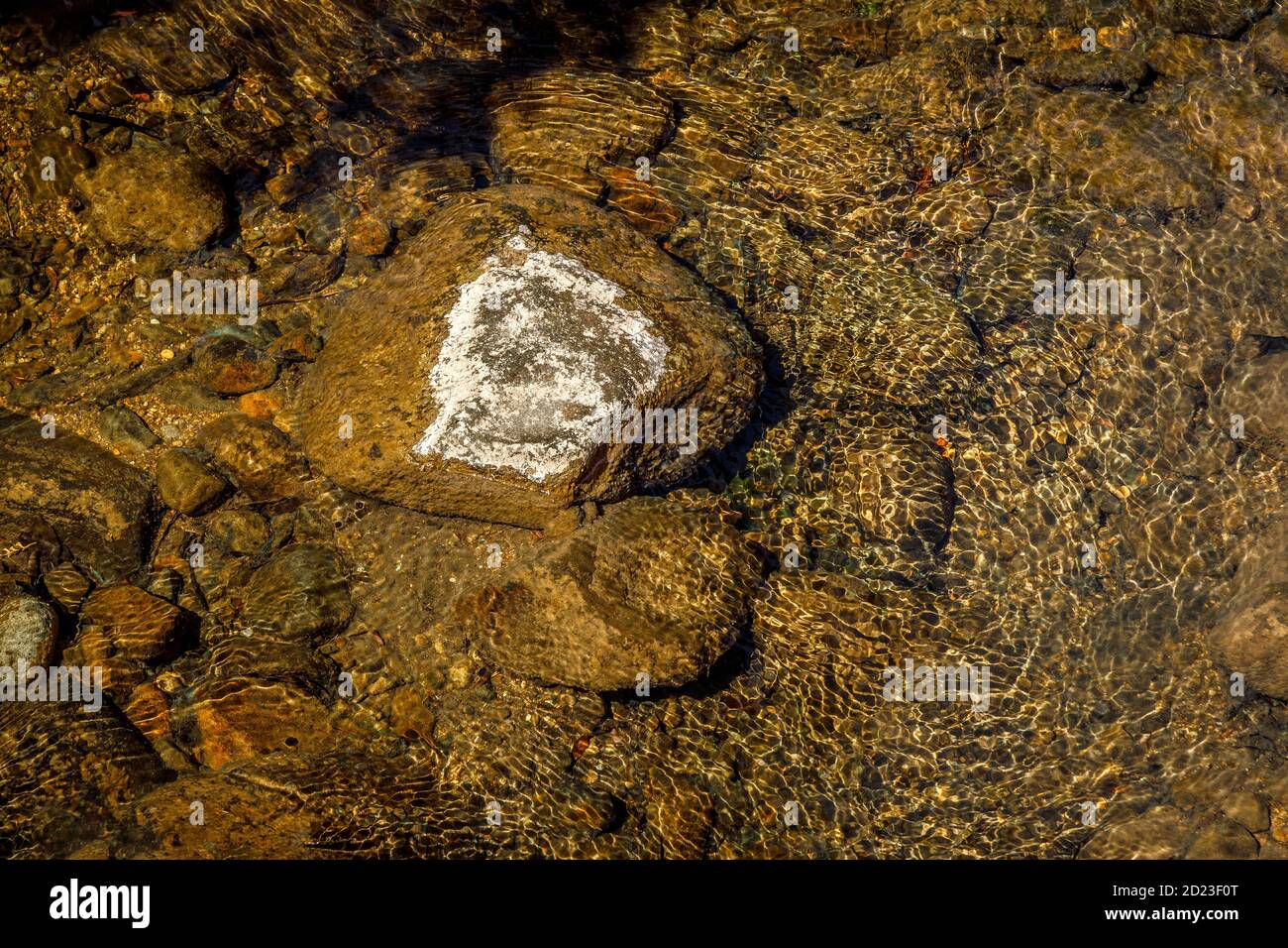 A rock pool on the shoreline in Paihia, New Zealand Stock Photo - Alamy