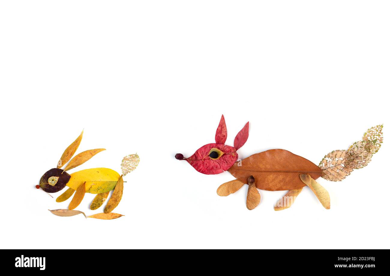 Fox collage element hi-res stock photography and images - Alamy