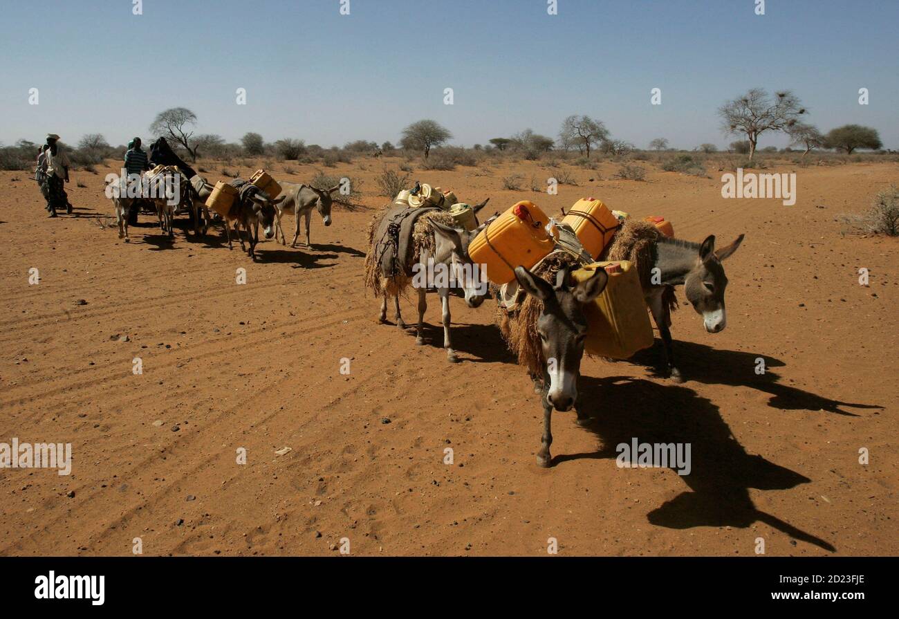 Kenyan red cross hi-res stock photography and images - Alamy