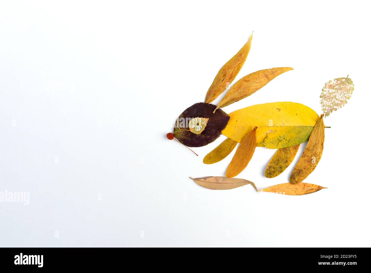 abstract bunny made of autumn leaves, fall foliage flat lay Stock Photo ...