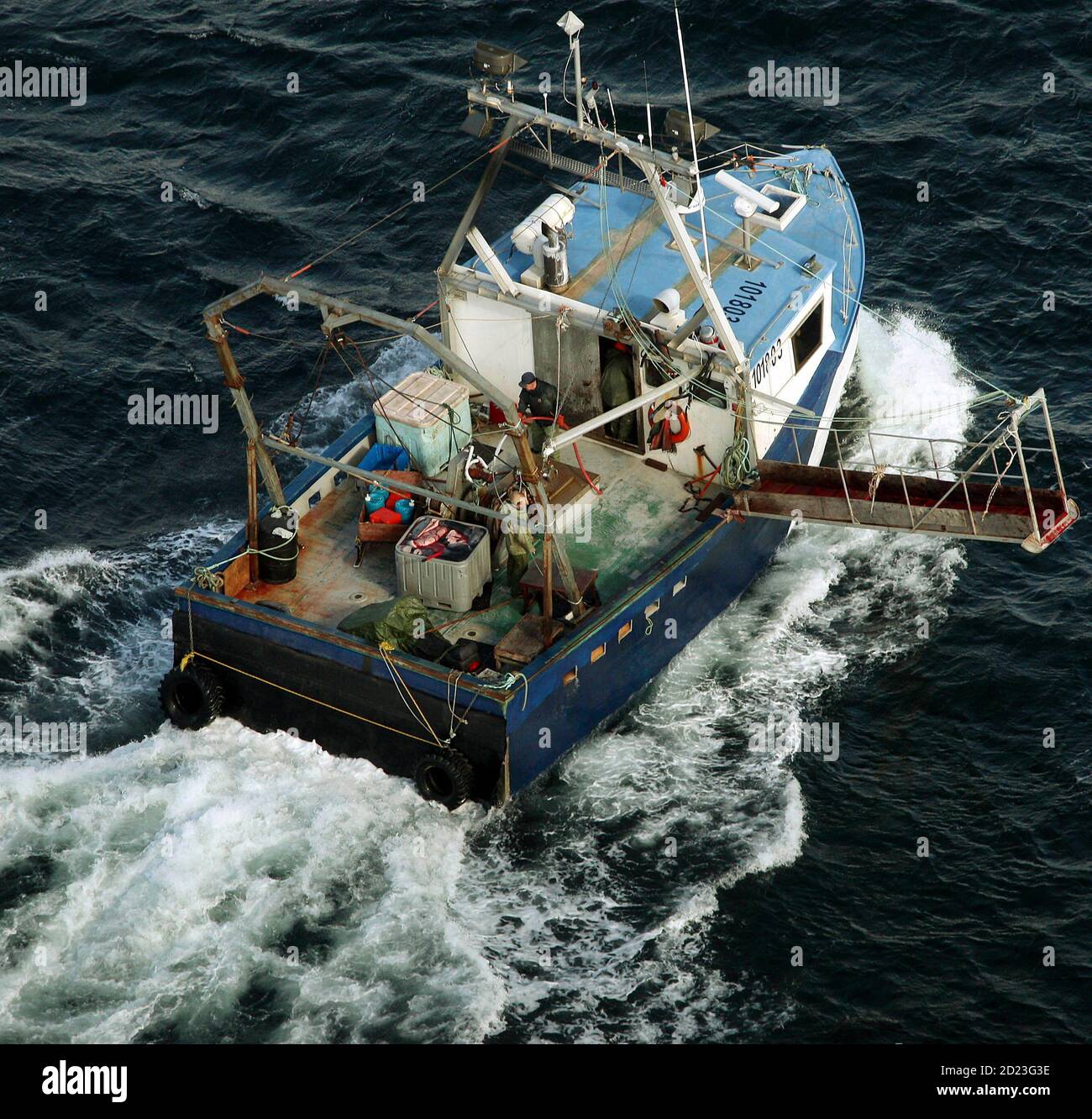 Pelts harp seals hi-res stock photography and images - Alamy
