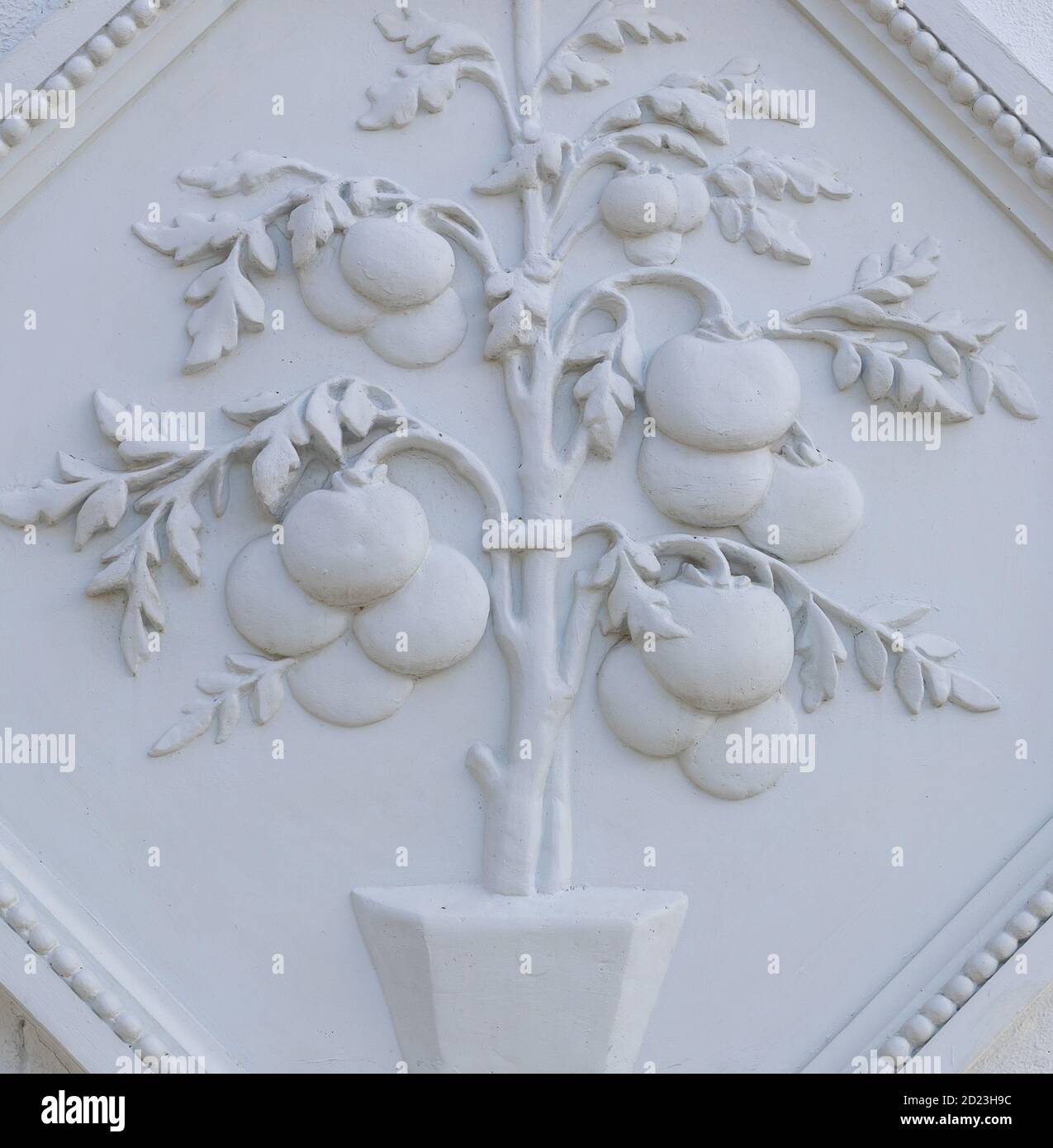 A white floral plaster relief on a white plastered wall. Elements ...