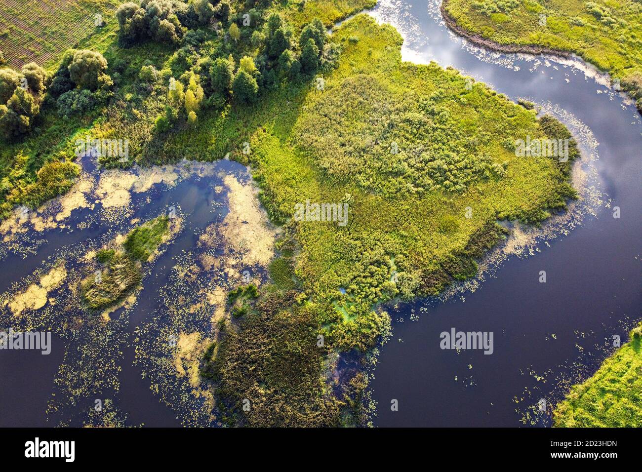 Grass Wetland Aerial