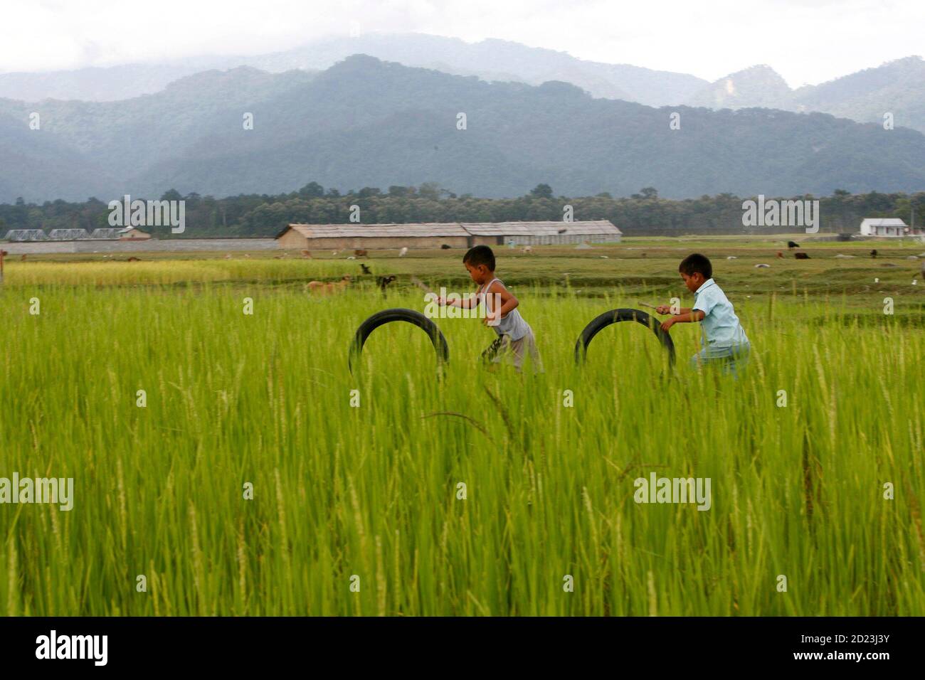 Children play in paddy field hi-res stock photography and images - Alamy