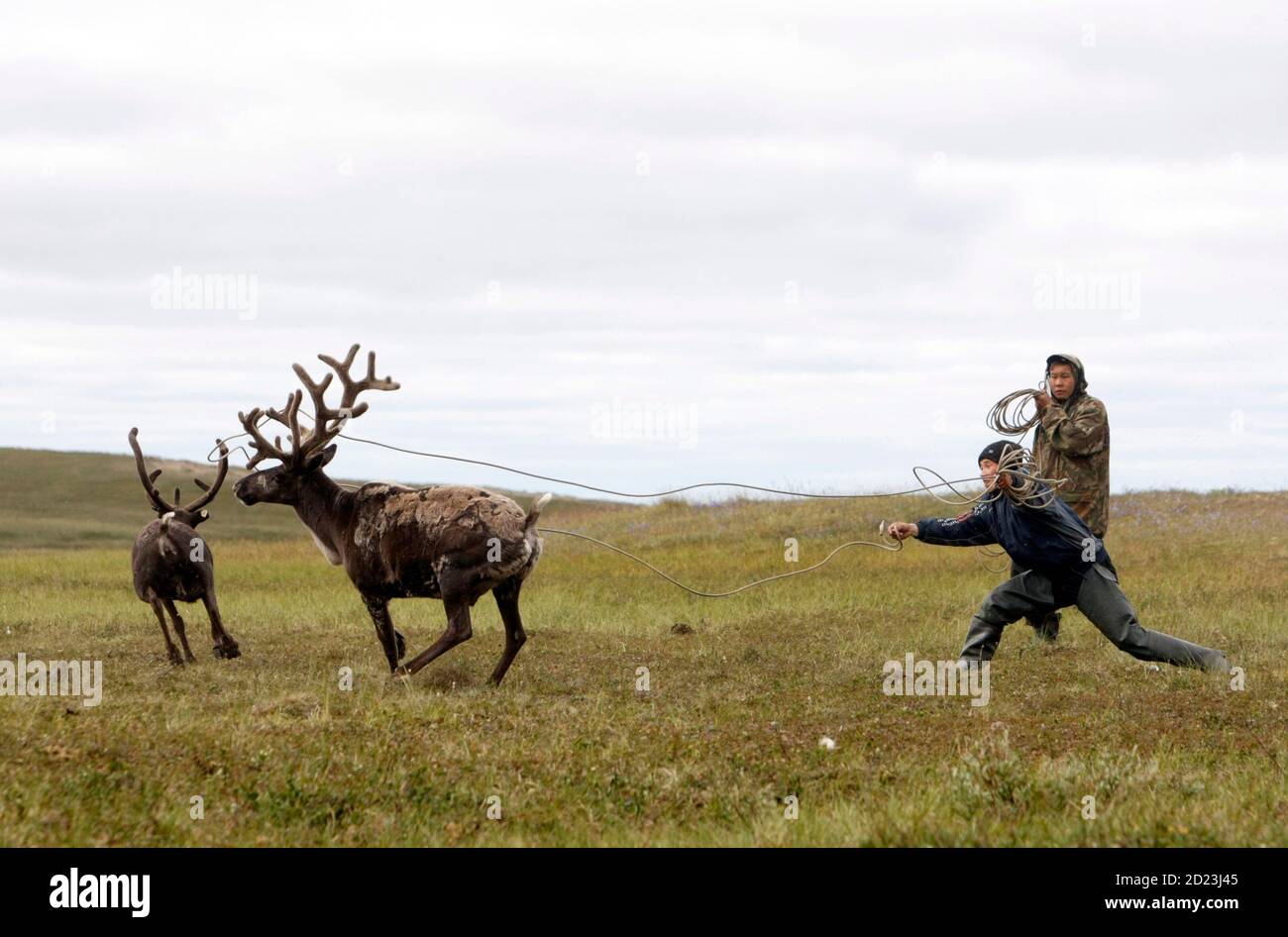 Human catch challenge hi-res stock photography and images - Alamy