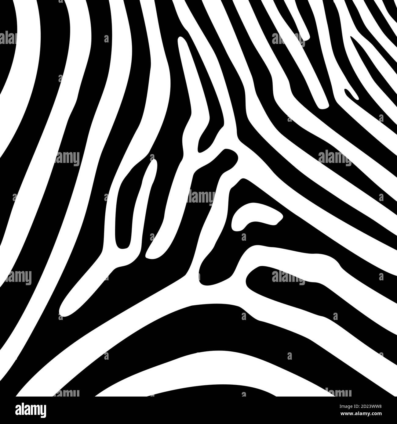 Black and white zebra skin vector pattern Stock Vector Image & Art - Alamy