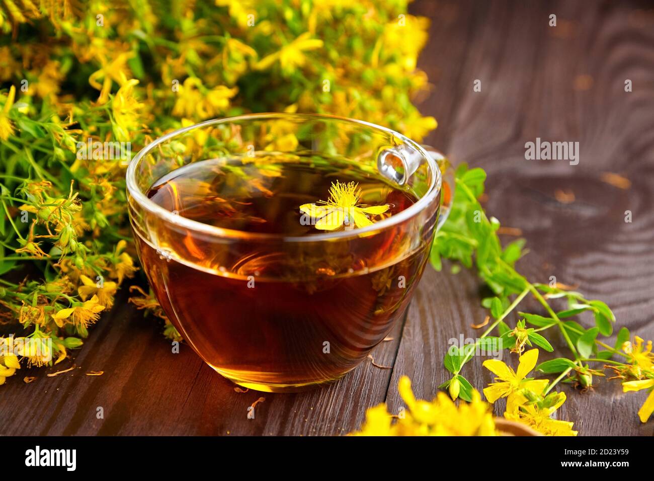 Glass cup with hypericum perforatum, St Johns wort or tutsan plant ...
