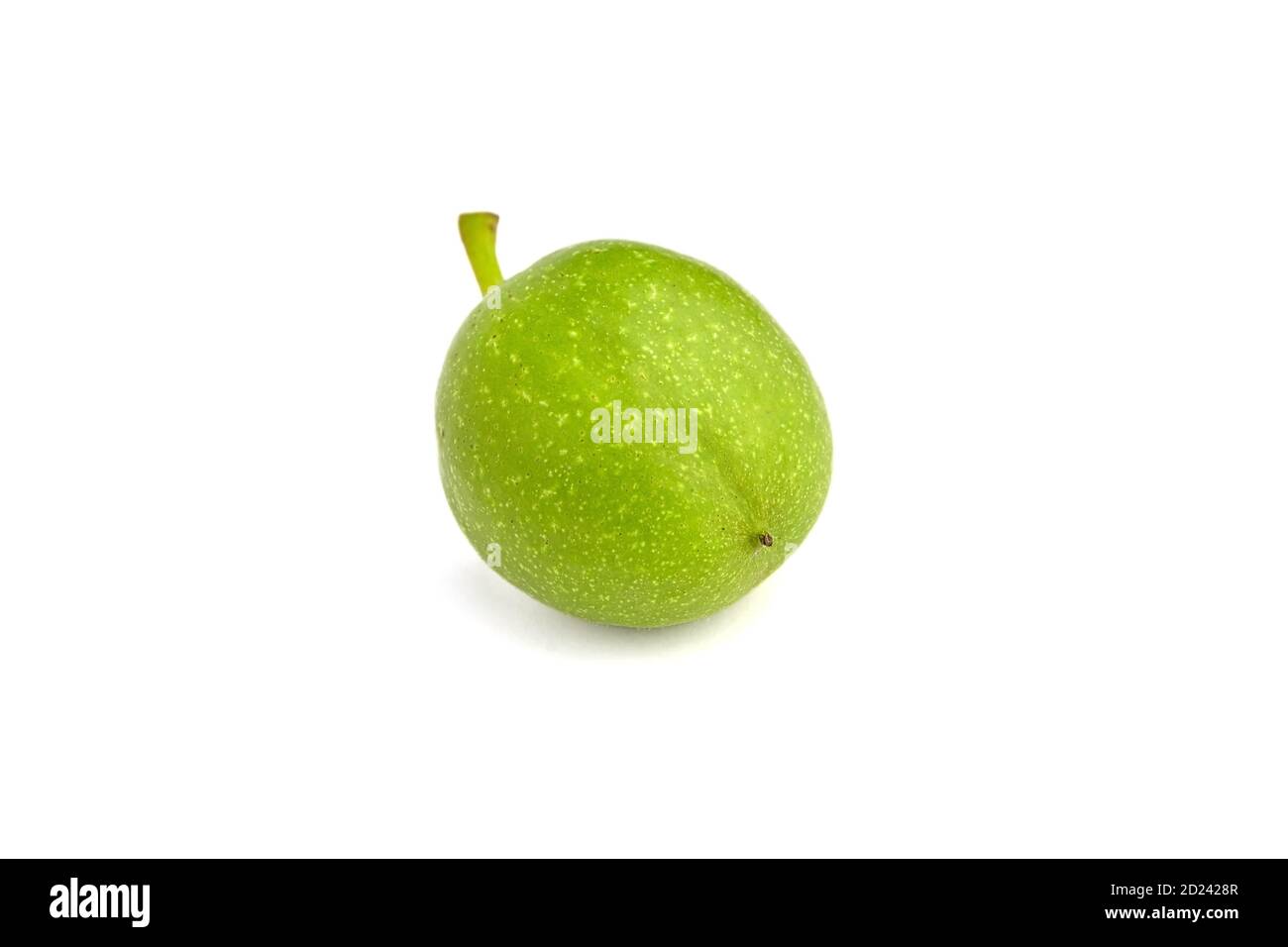 Fresh green walnut fruit isolated on a white background Stock Photo - Alamy