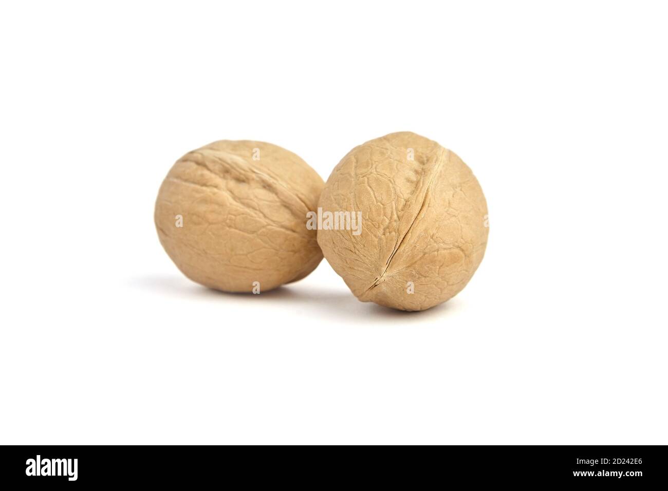 Two walnut fruits isolated on white background Stock Photo - Alamy