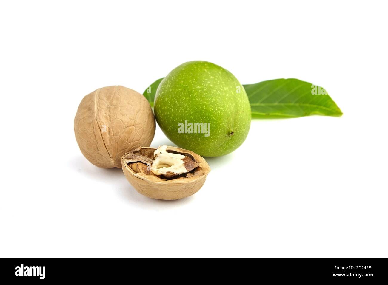 Dry and green walnut fruits, whole and half, isolated on white ...