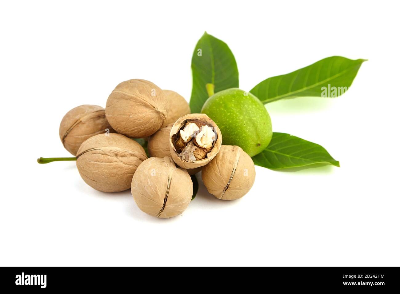 Walnuts heap with green walnut tree leaves isolated on white background ...