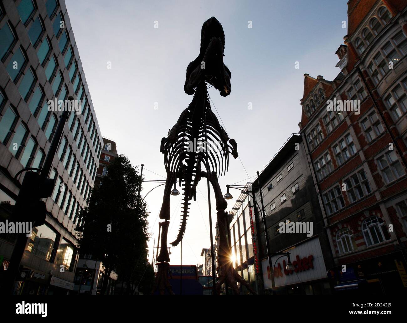 Rex Features High Resolution Stock Photography and Images - Alamy