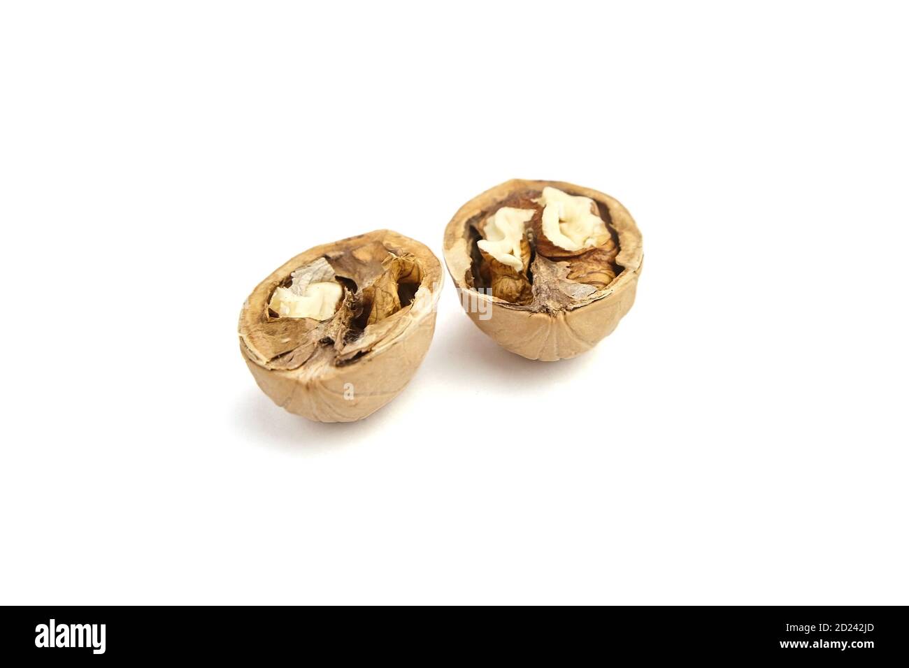 Open dry walnuts closeup isolated on white background Stock Photo - Alamy