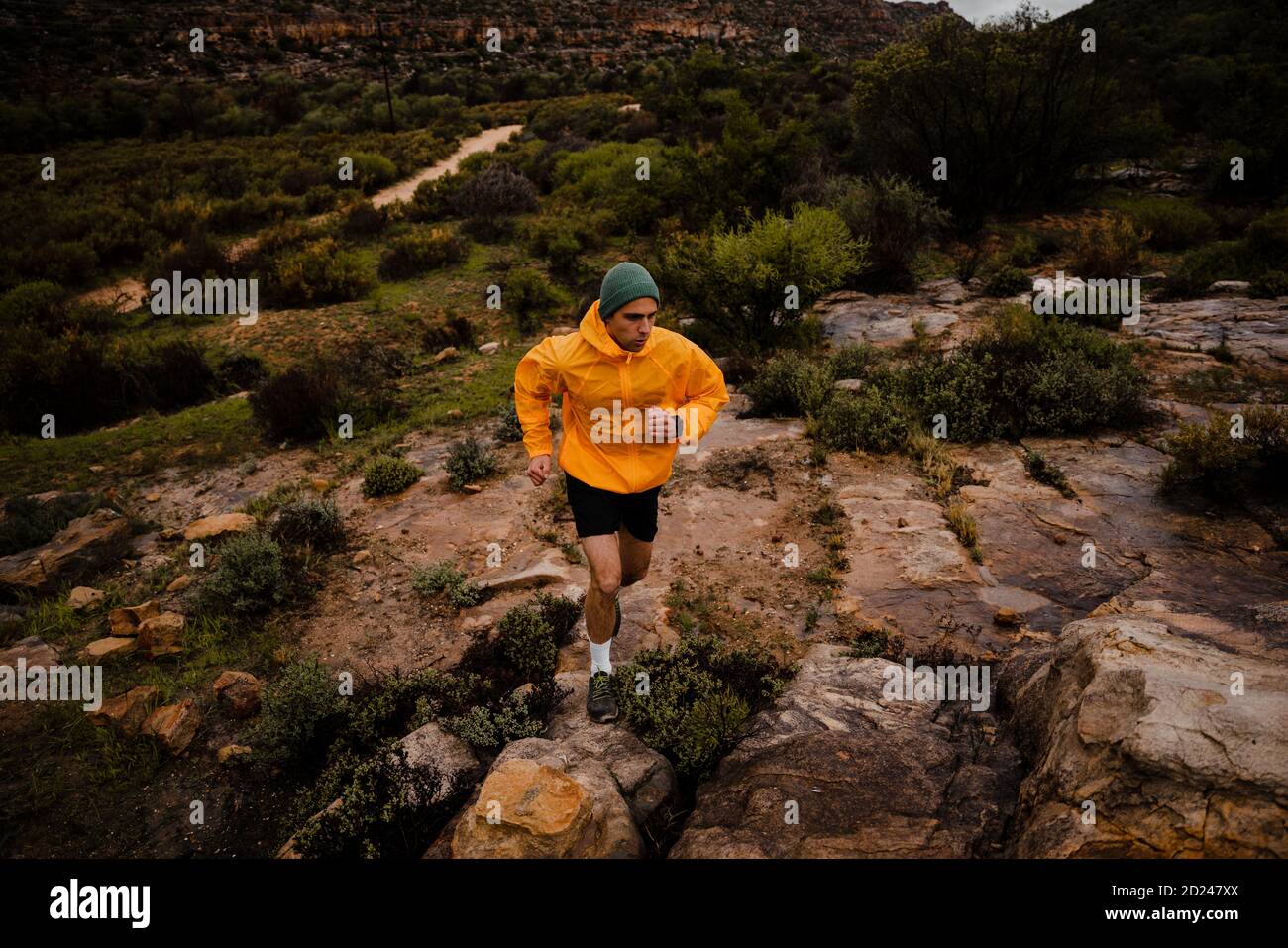 Muscles on rocks hi-res stock photography and images - Alamy