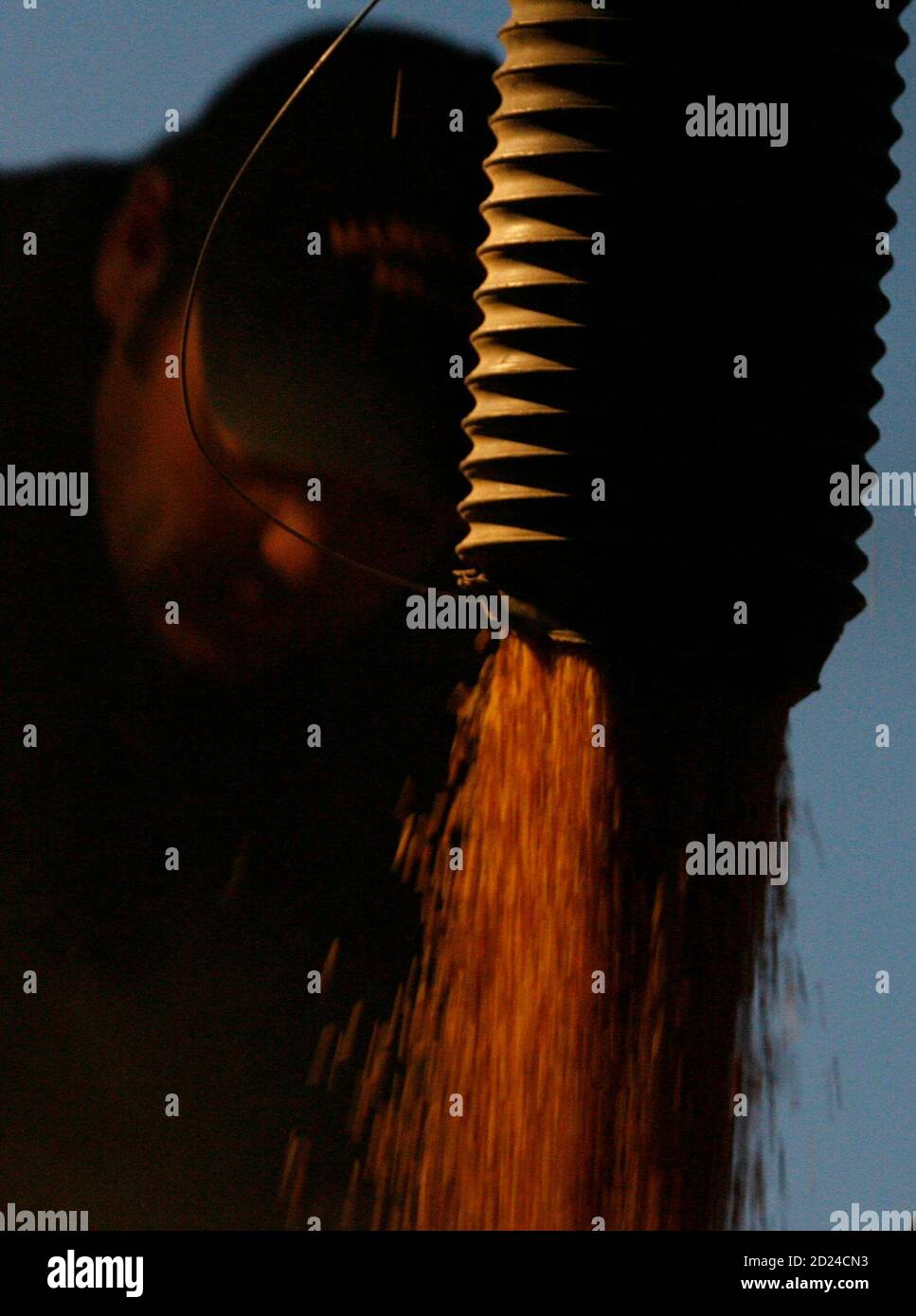 Australian wheat fields hi-res stock photography and images - Alamy