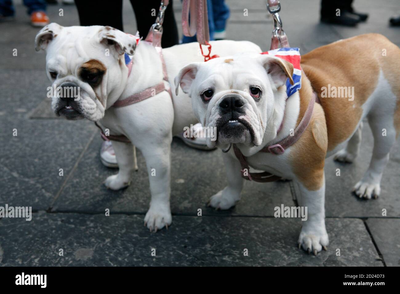 British national front rally hi-res stock photography and images - Alamy