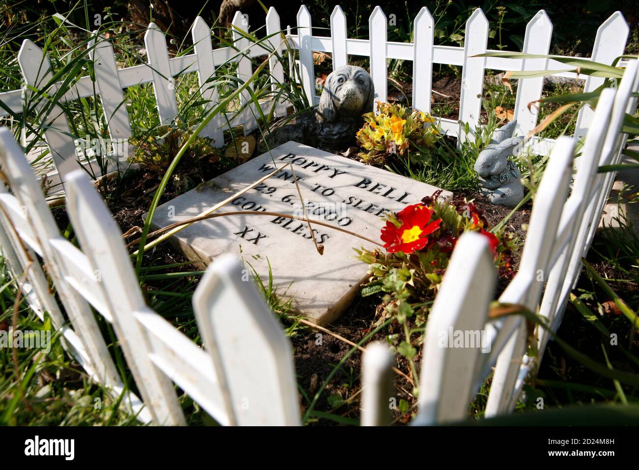 Silvermere Haven pet cemetry, Cobham, Surry, UK Stock Photo - Alamy