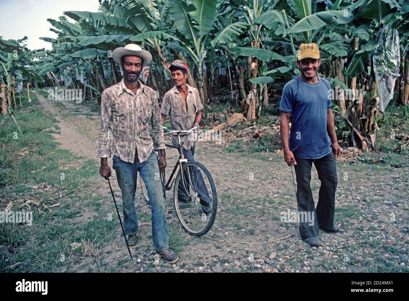 Isletas banana plantation workers, Honduras, Central America Stock ...