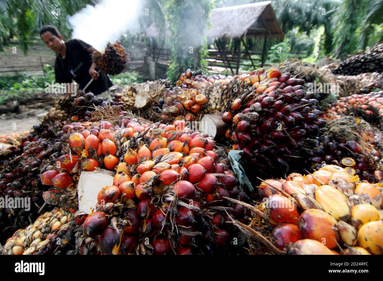 Palm oil factory indonesia hi-res stock photography and images - Alamy