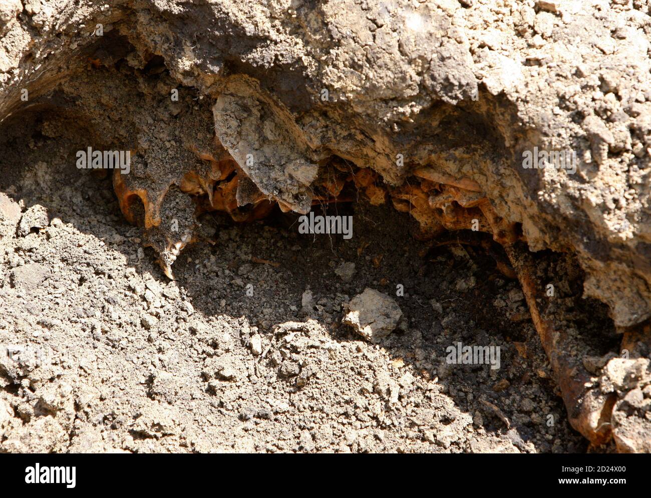 World war ii skull hi-res stock photography and images - Alamy