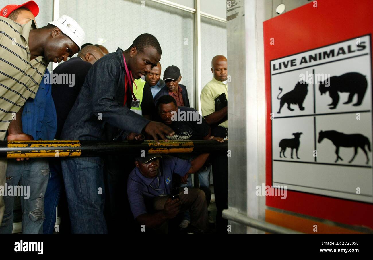 Zoos Of South Africa High Resolution Stock Photography and Images - Alamy