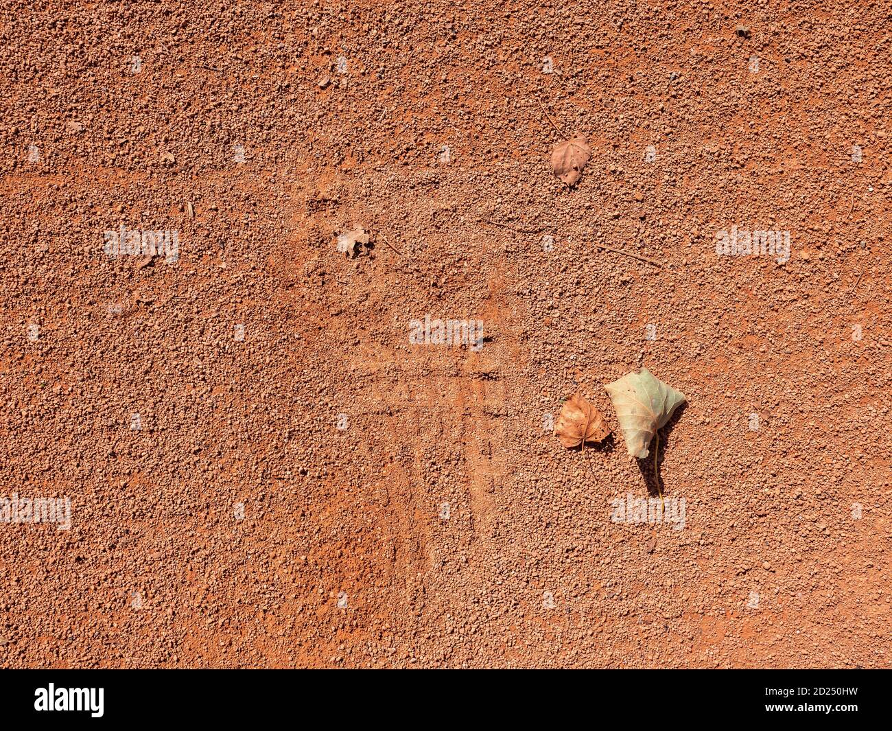 Dry leaf and fooprint mark in tennis red clay court. Sportsman step ...