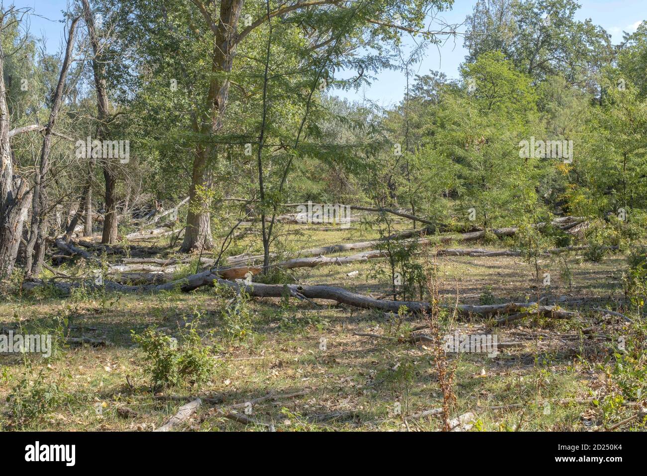 Tataru island hi-res stock photography and images - Alamy