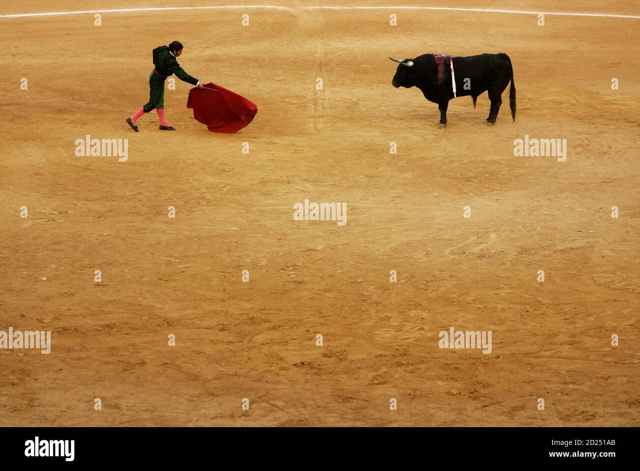 Bull Charging Spain High Resolution Stock Photography and Images - Alamy