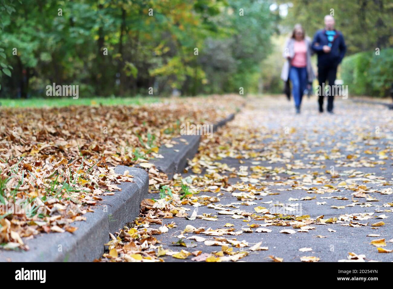 Group walking in park autumn hi-res stock photography and images - Alamy