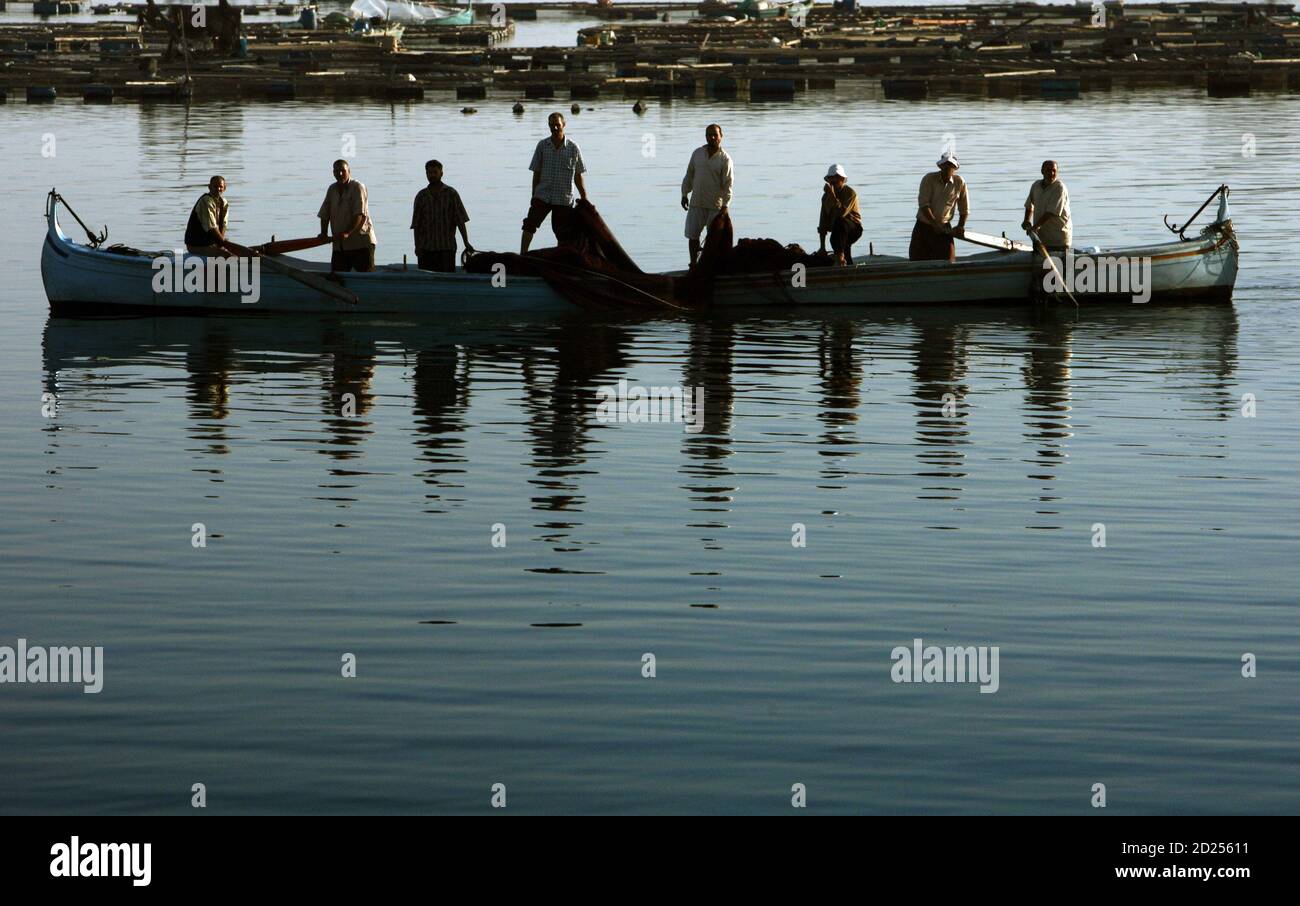 Nile Delta Farming High Resolution Stock Photography and Images - Alamy