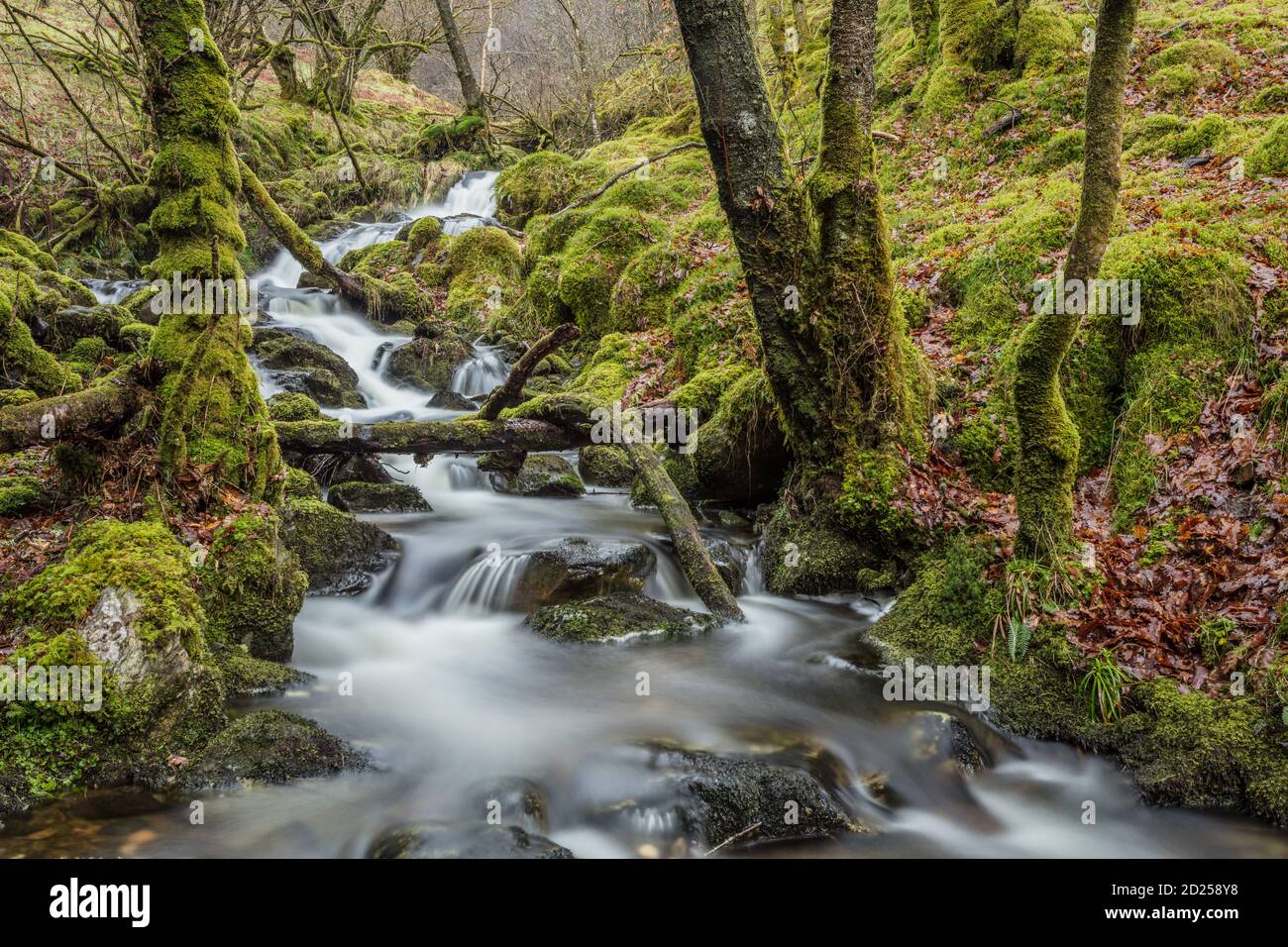 Loch and streams hi-res stock photography and images - Alamy
