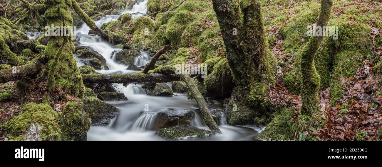 Loch and streams hi-res stock photography and images - Alamy