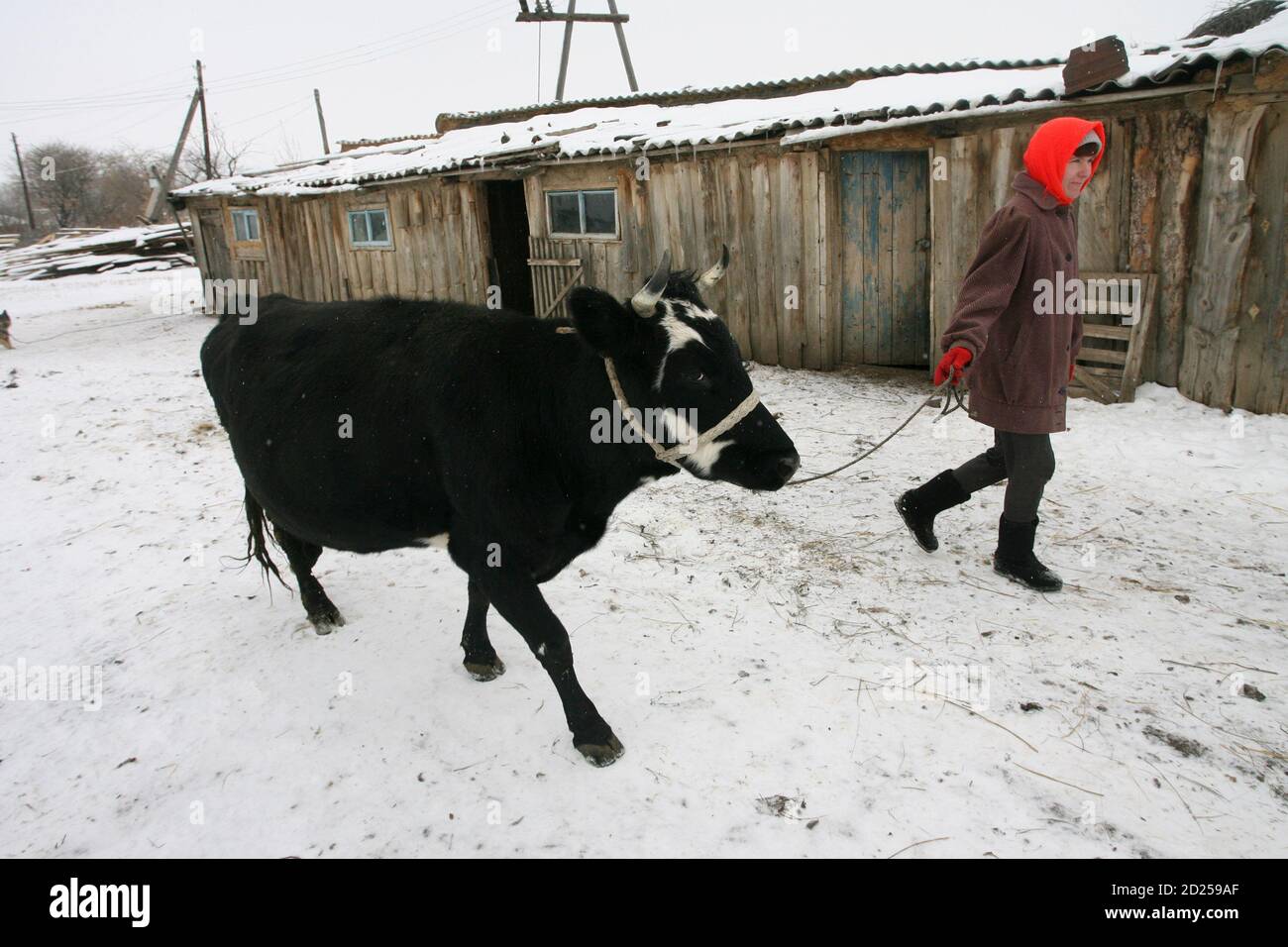 Farm Woman Russia High Resolution Stock Photography and Images - Alamy