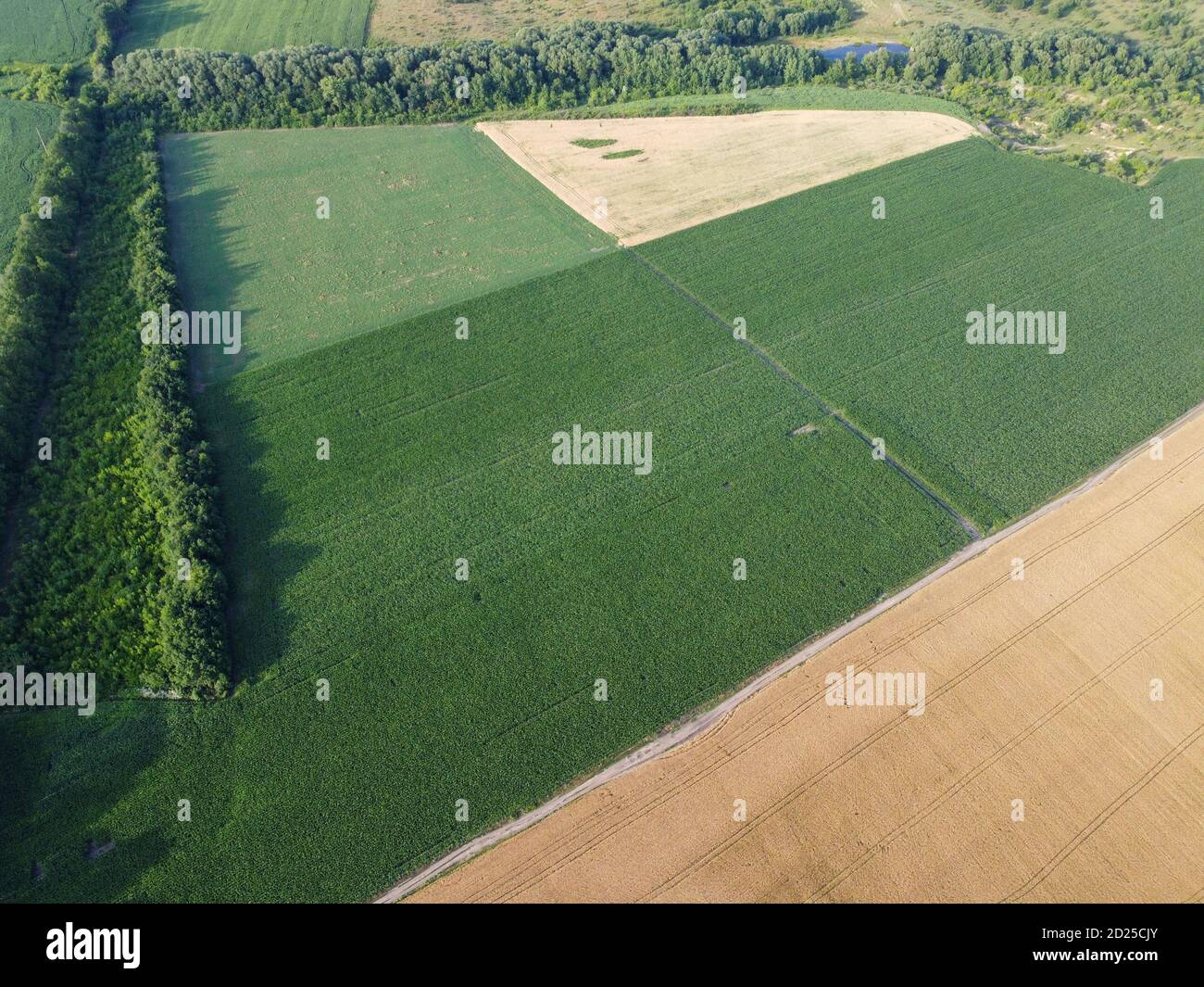 Agricultural landscape, aerial view of farm fields Stock Photo - Alamy