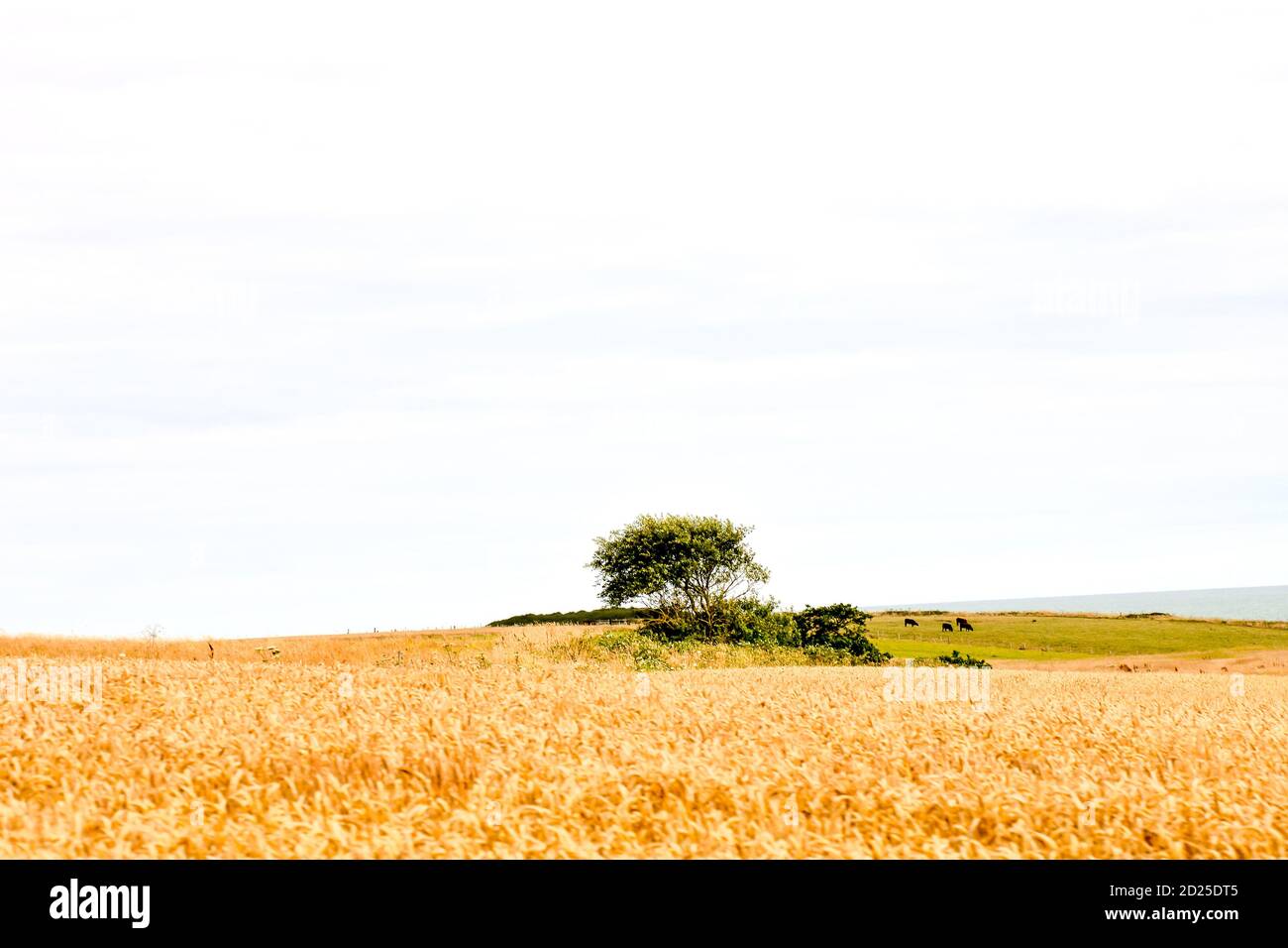 European natural countryside Stock Photo - Alamy