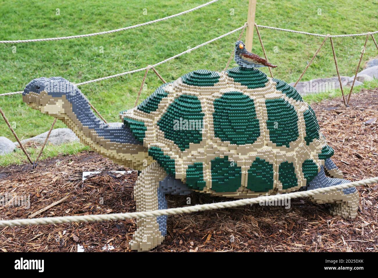 Tortoise on display hi-res stock photography and images - Alamy