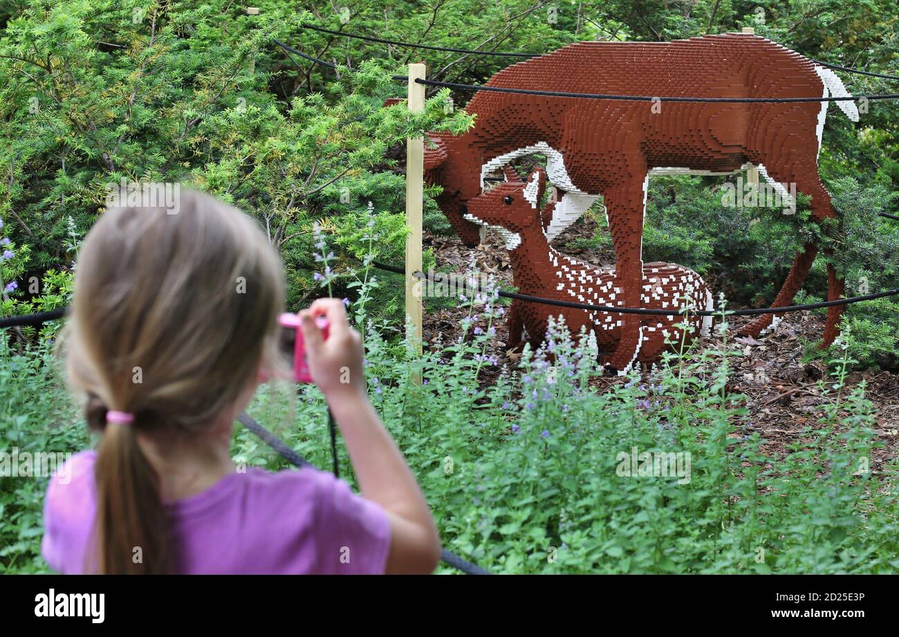 A young girl taking a picture of lego deer by artist Sean Kenney, at ...