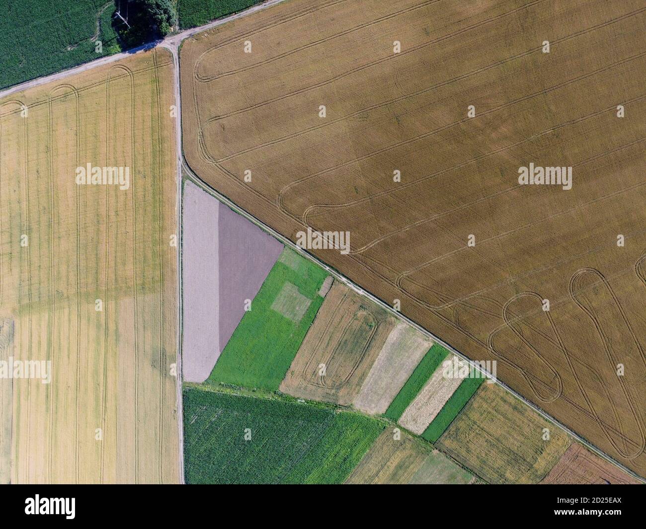 Different in size agricultural land, top view of geometric shapes from ...