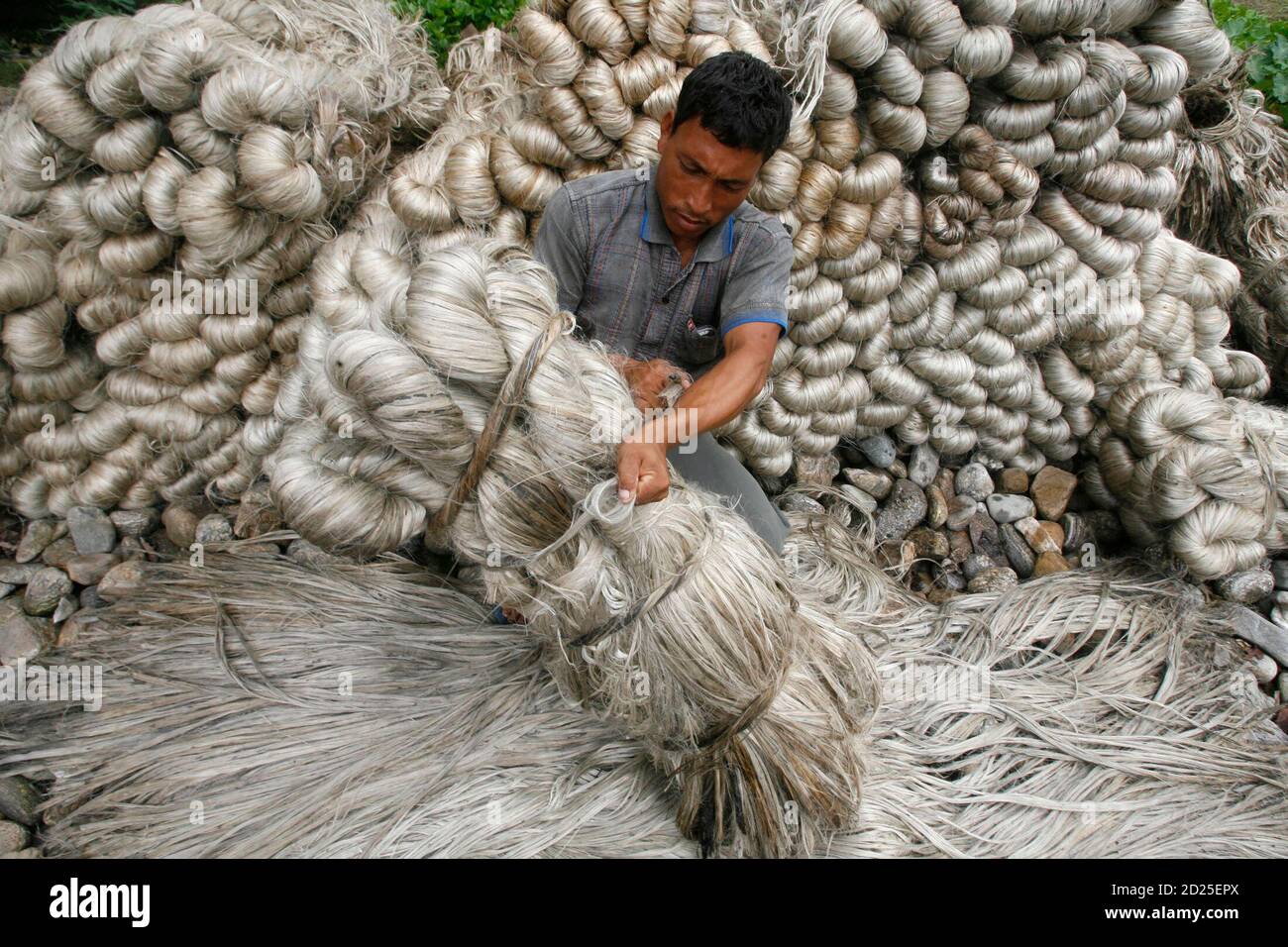 Agriculture de jute hi-res stock photography and images - Alamy
