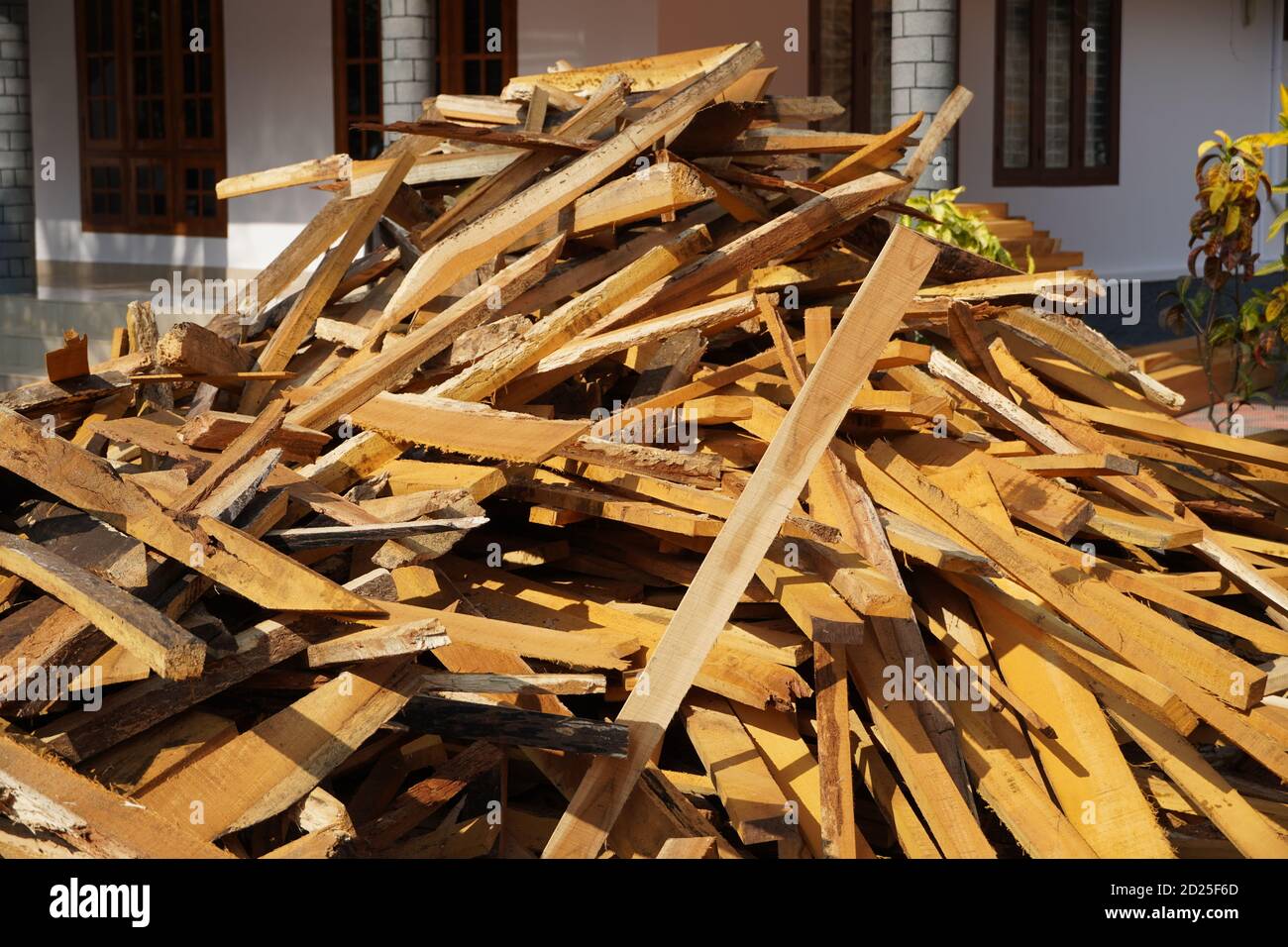 Solid Tree High Resolution Stock Photography and Images - Alamy