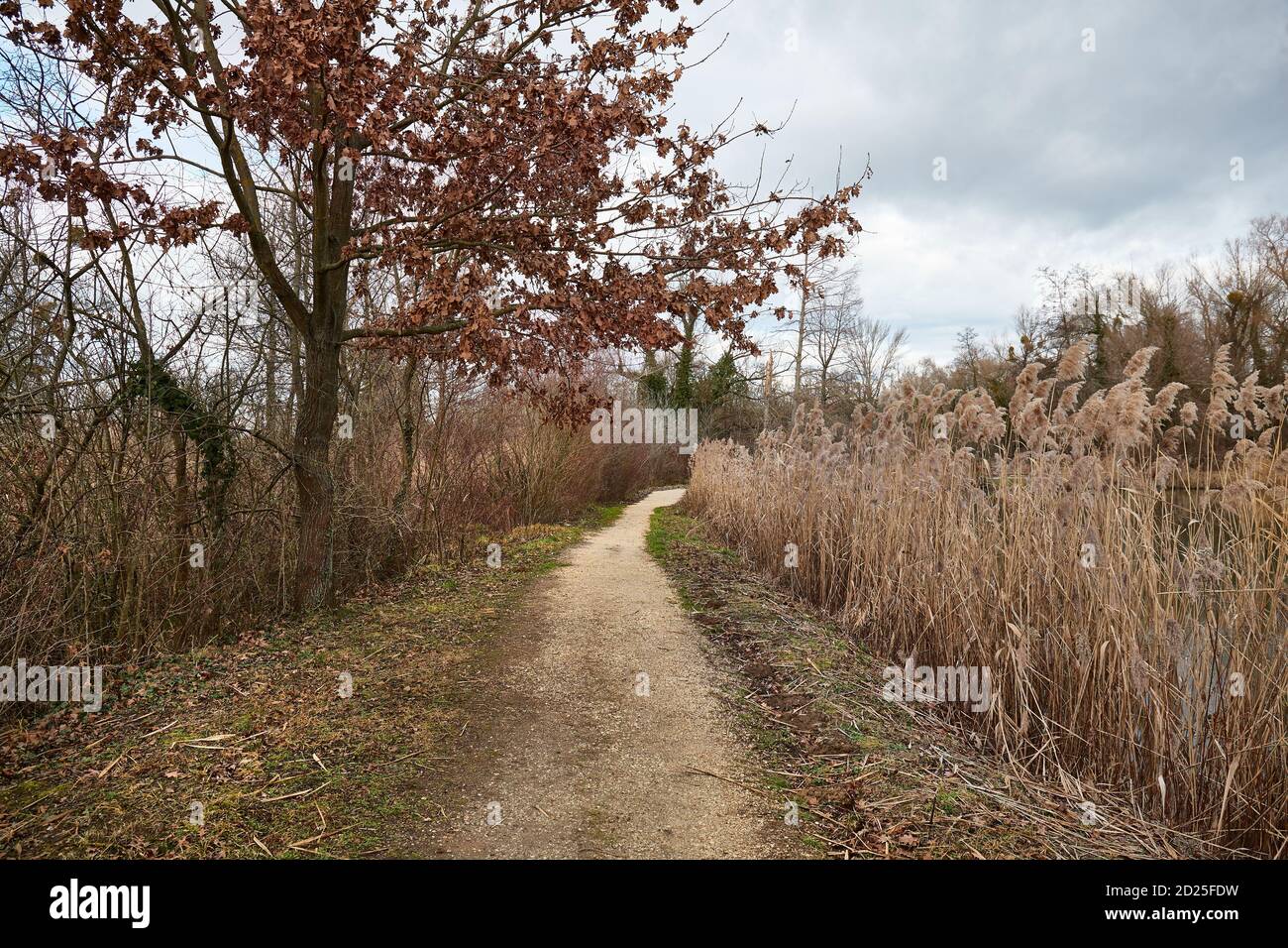 Pleasant countryside walk hi-res stock photography and images - Alamy