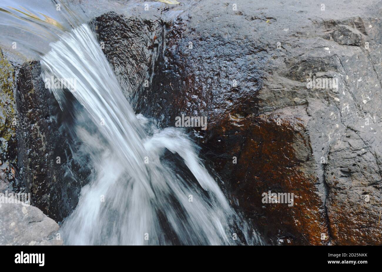 water run through river pass rock and stone in forest Stock Photo - Alamy