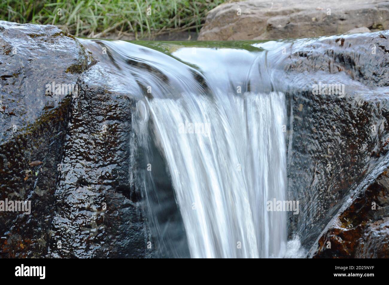 water run through river pass rock and stone in forest Stock Photo - Alamy