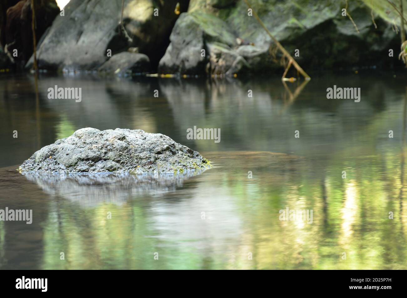 water run through river pass rock and stone in forest Stock Photo - Alamy