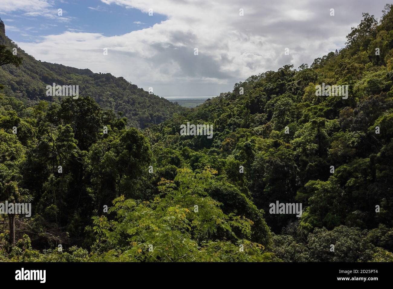 Rainforest covered mountains hi-res stock photography and images - Alamy