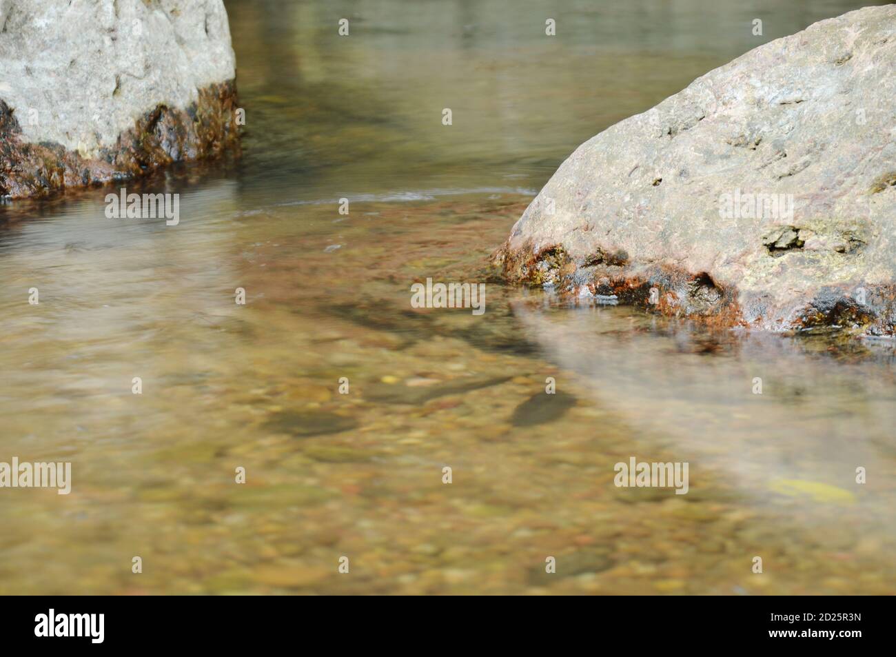 water run through river pass rock and stone in forest Stock Photo - Alamy